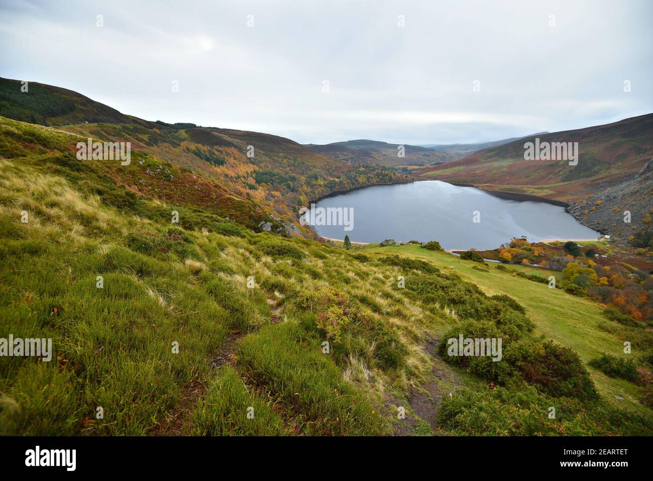 Landscape with panoramic view of Guinness Lake (Lough Tay) and the ...