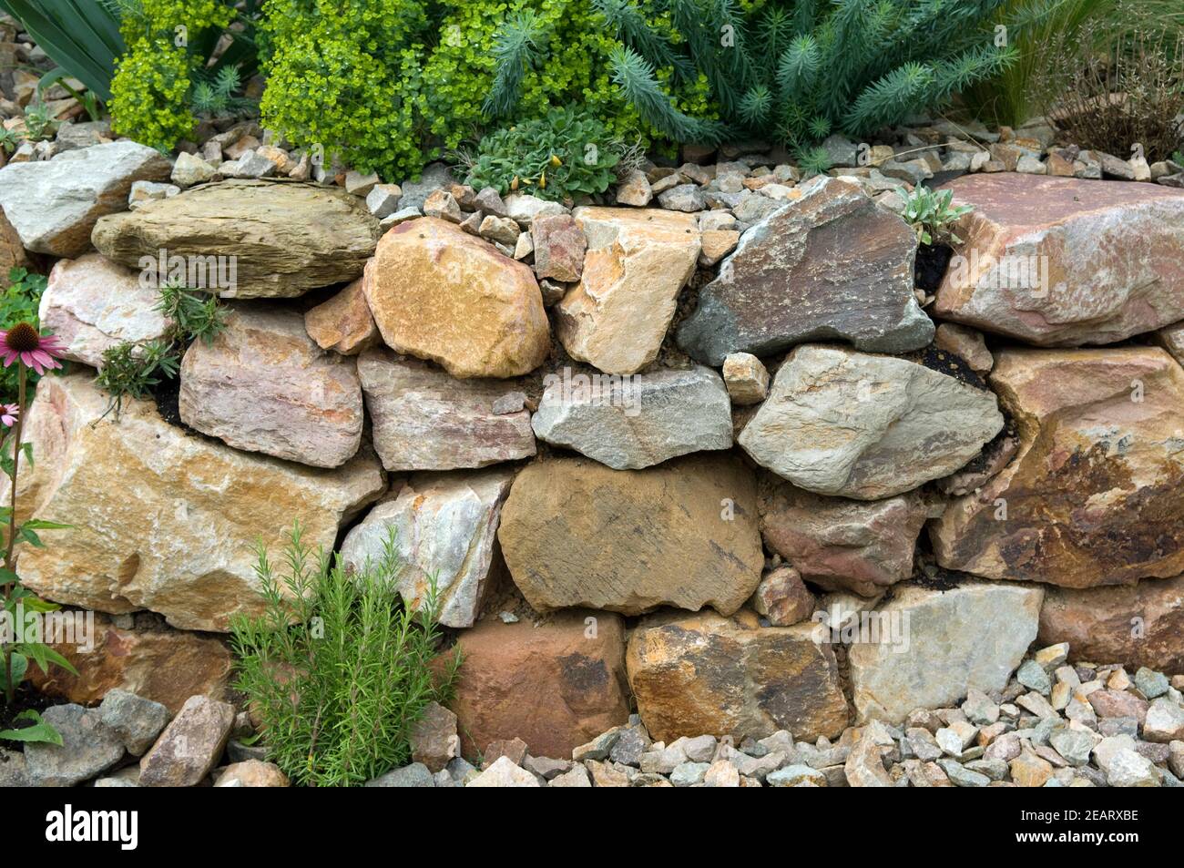 Mauer bepflanzung hi-res stock photography and images - Alamy