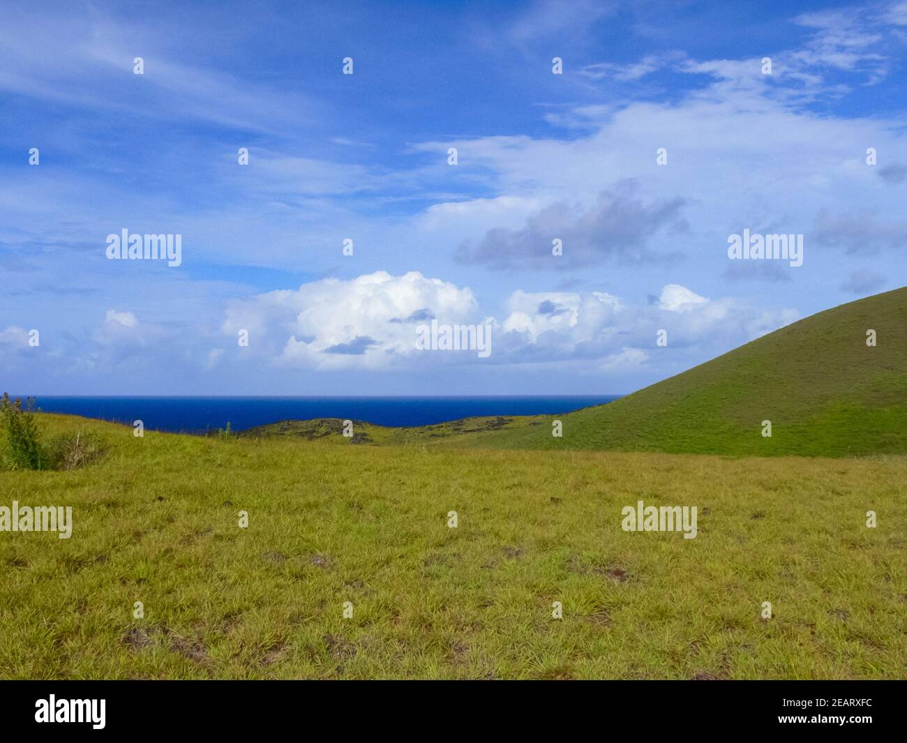 nature of Easter Island, landscape, vegetation and coast Stock Photo ...