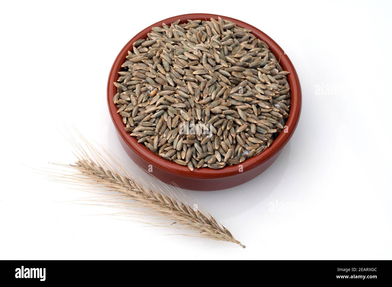 Roggenaehre; Roggen; Roggenaehren; Secale; Cereale Stock Photo - Alamy