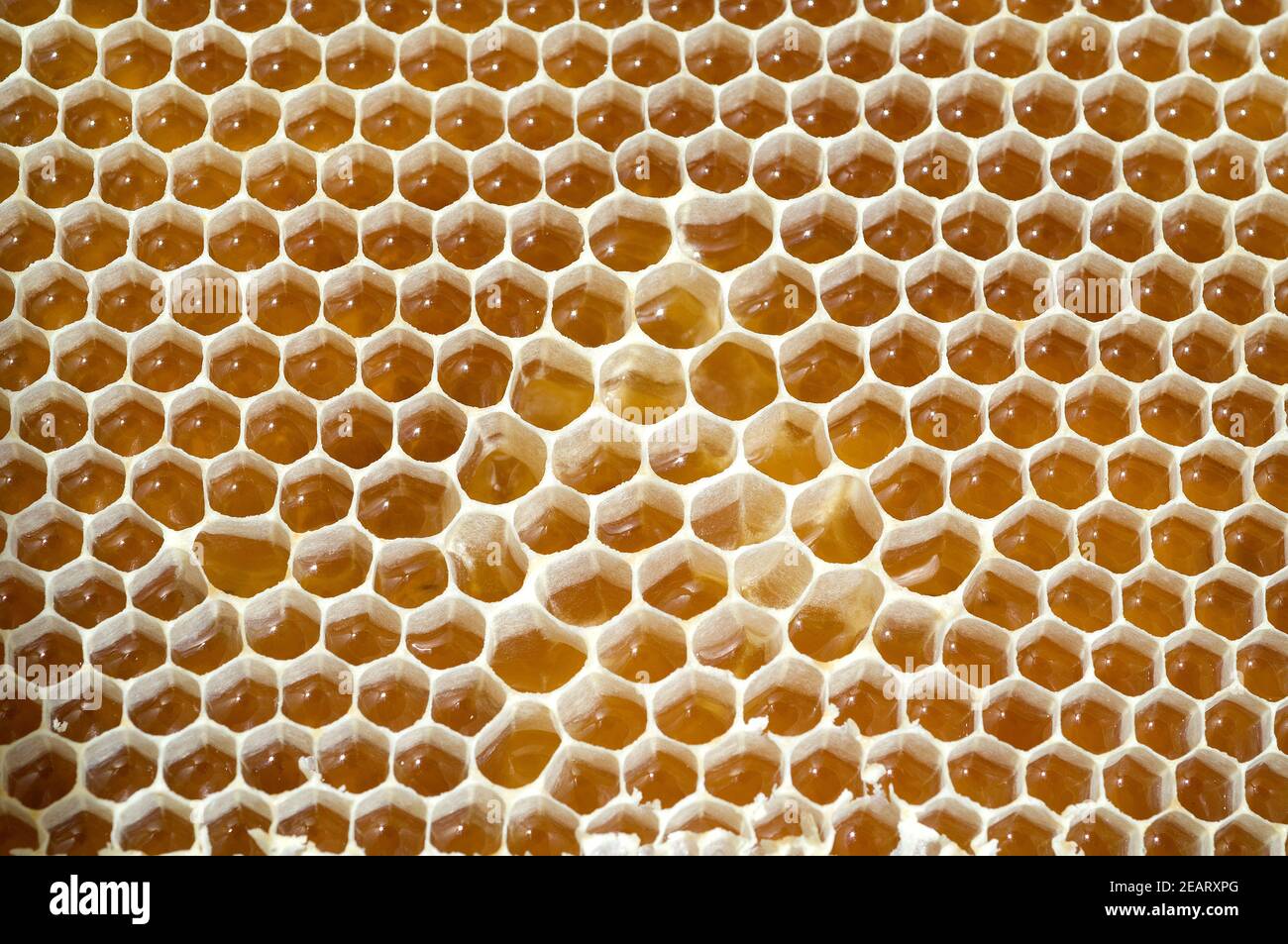 Honigwaben, waben, Bienenwachs, wachs, Bienenstock Stock Photo - Alamy