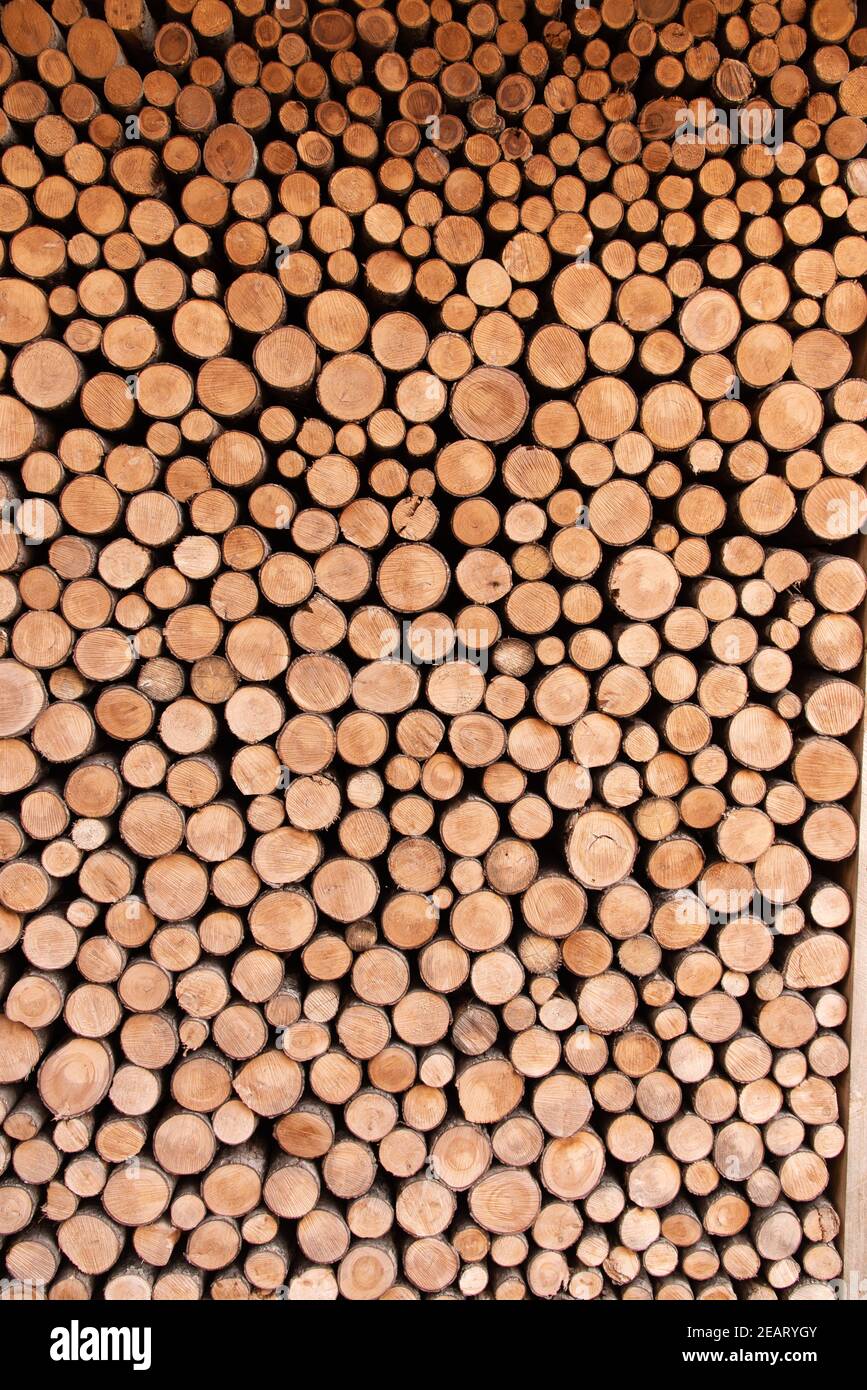Vertical shot pile logs hi-res stock photography and images - Alamy