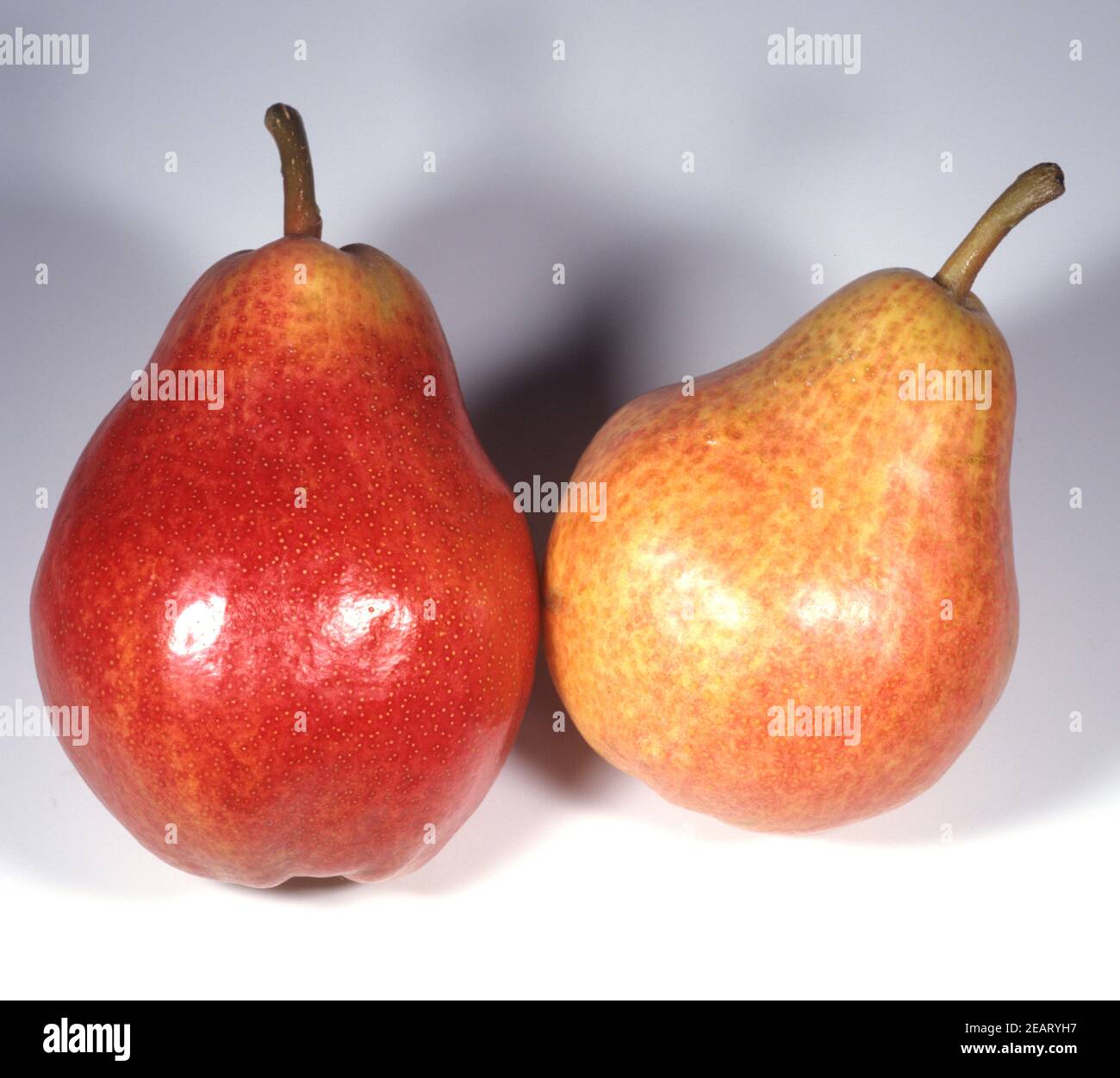 Rote Williams Christ Birne Stock Photo - Alamy