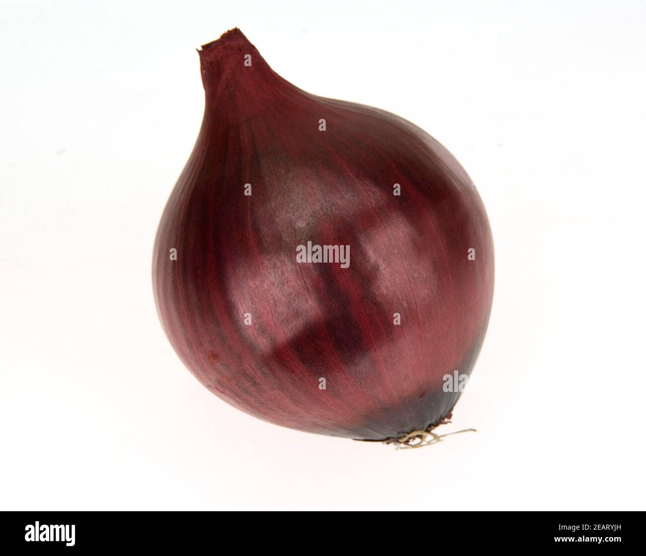 Rote flora Cut Out Stock Images & Pictures - Alamy