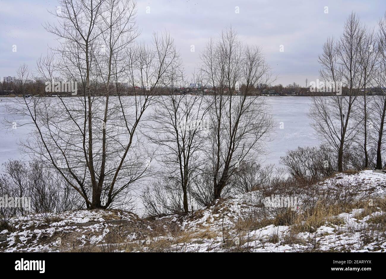 Winter landscape with trees and an ice-covered lake Stock Photo - Alamy