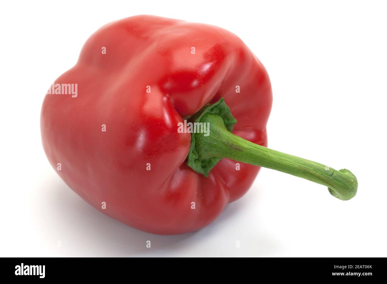 Paprika, Capsicum, annuum, Paprikaschote Stock Photo - Alamy