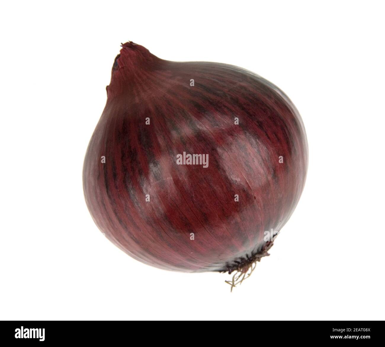 Rote zwiebel hintergrund hi-res stock photography and images - Alamy