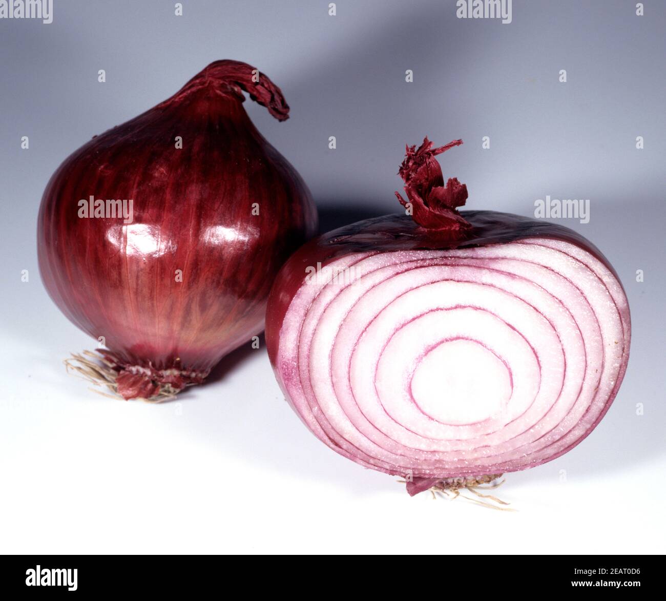 Kuechenzwiebel hi-res stock photography and images - Alamy