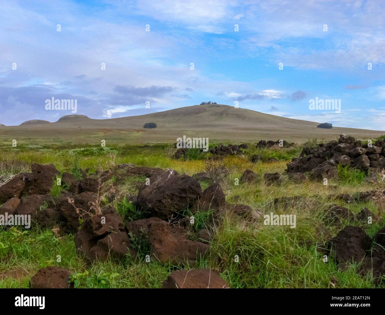 nature of Easter Island, landscape, vegetation and coast Stock Photo ...