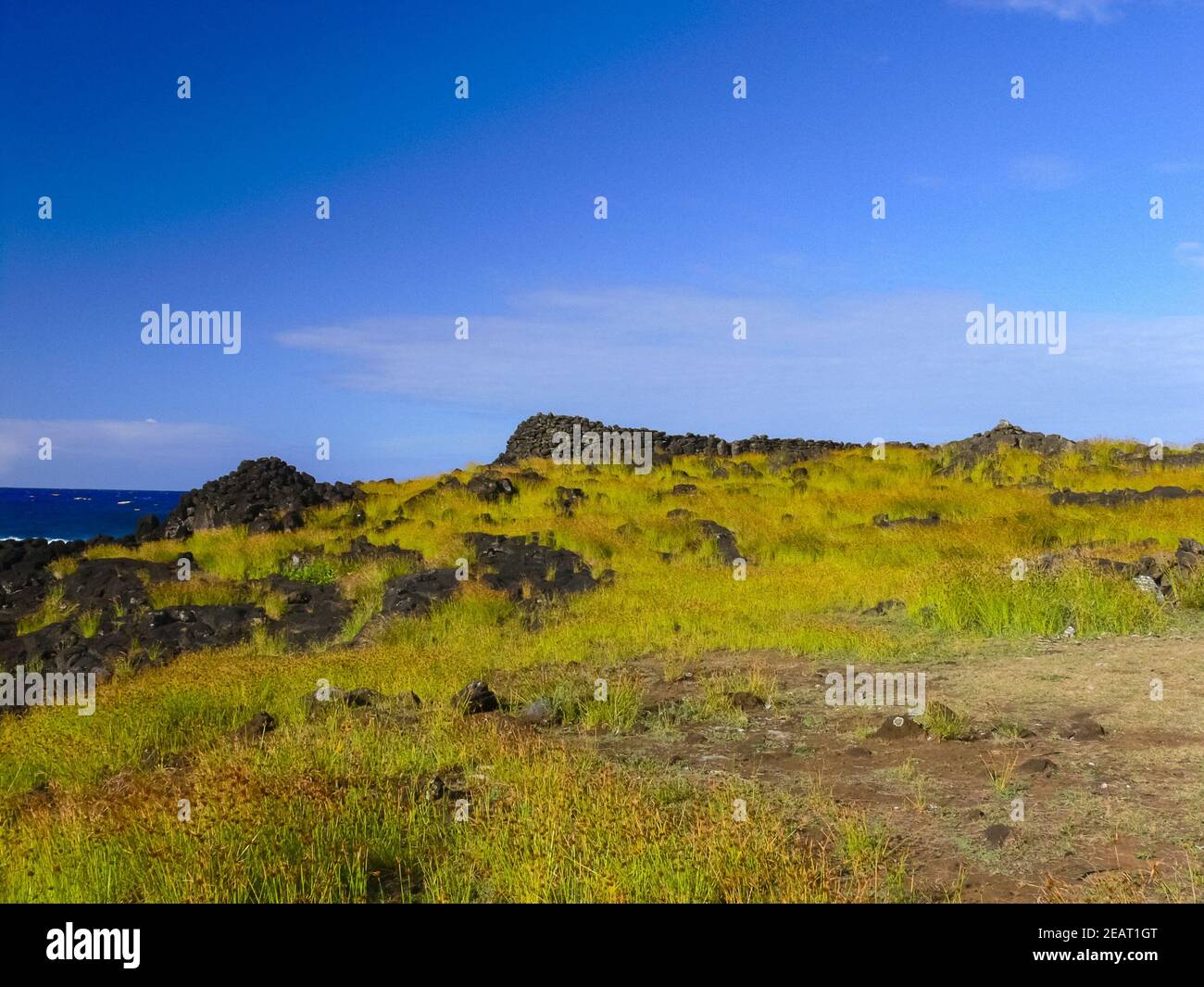 nature of Easter Island, landscape, vegetation and coast Stock Photo ...