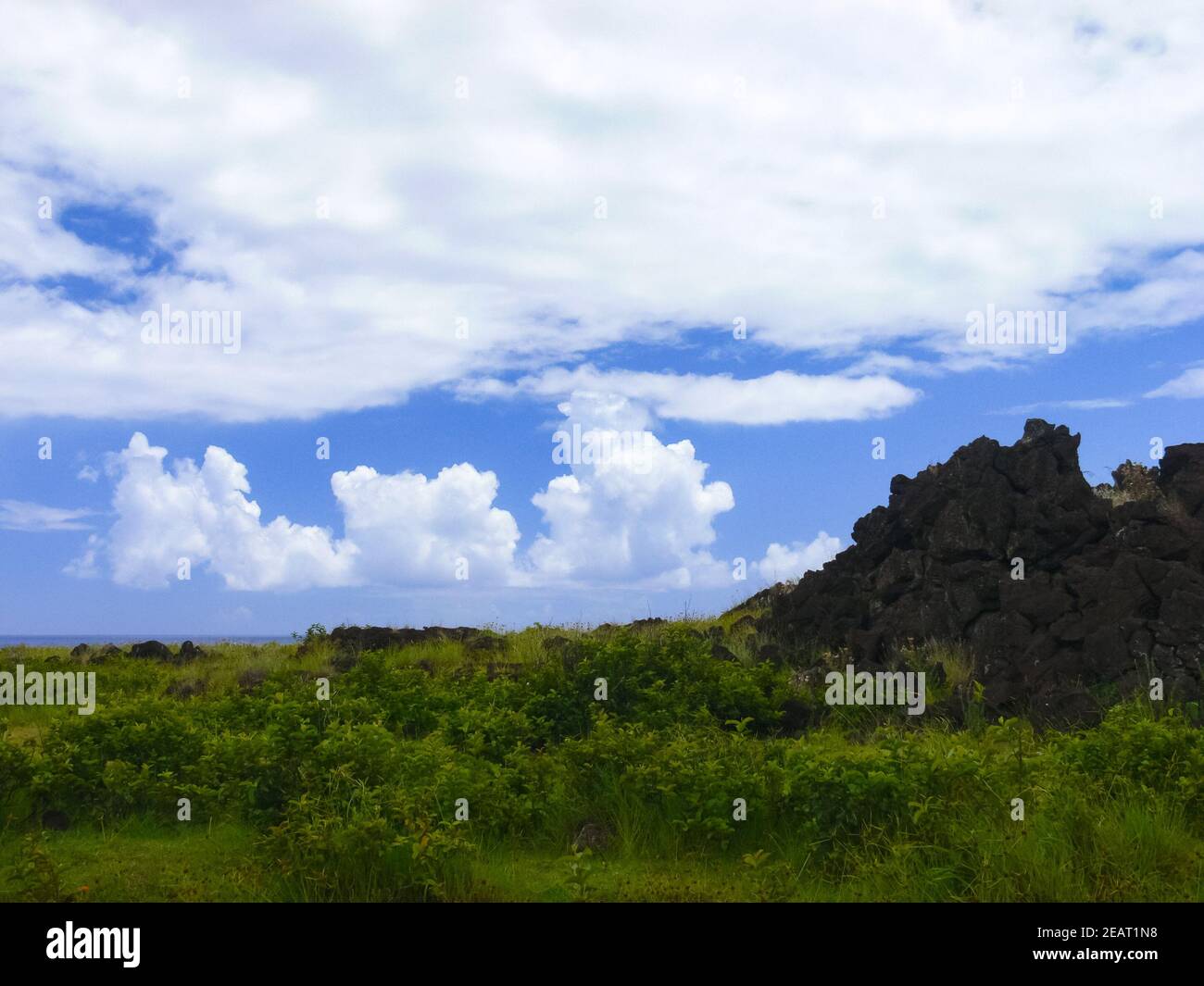nature of Easter Island, landscape, vegetation and coast Stock Photo ...