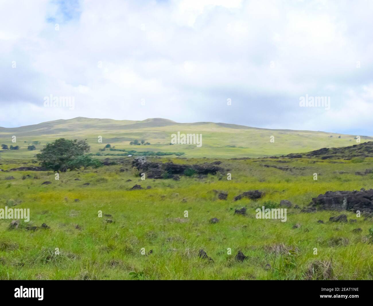 nature of Easter Island, landscape, vegetation and coast Stock Photo ...