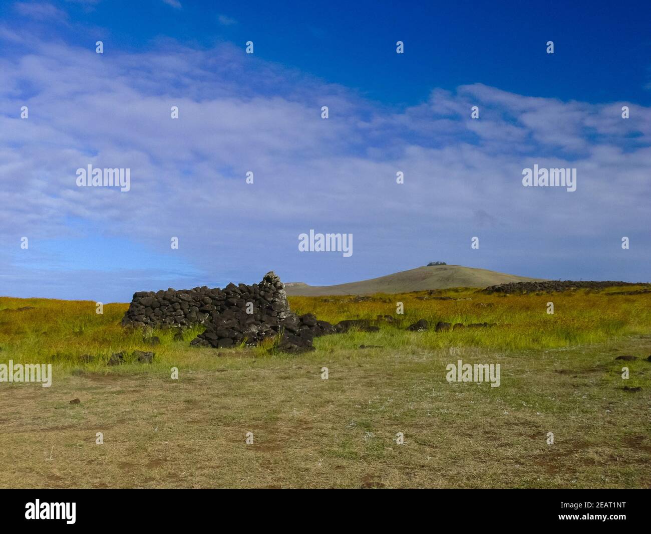nature of Easter Island, landscape, vegetation and coast Stock Photo ...