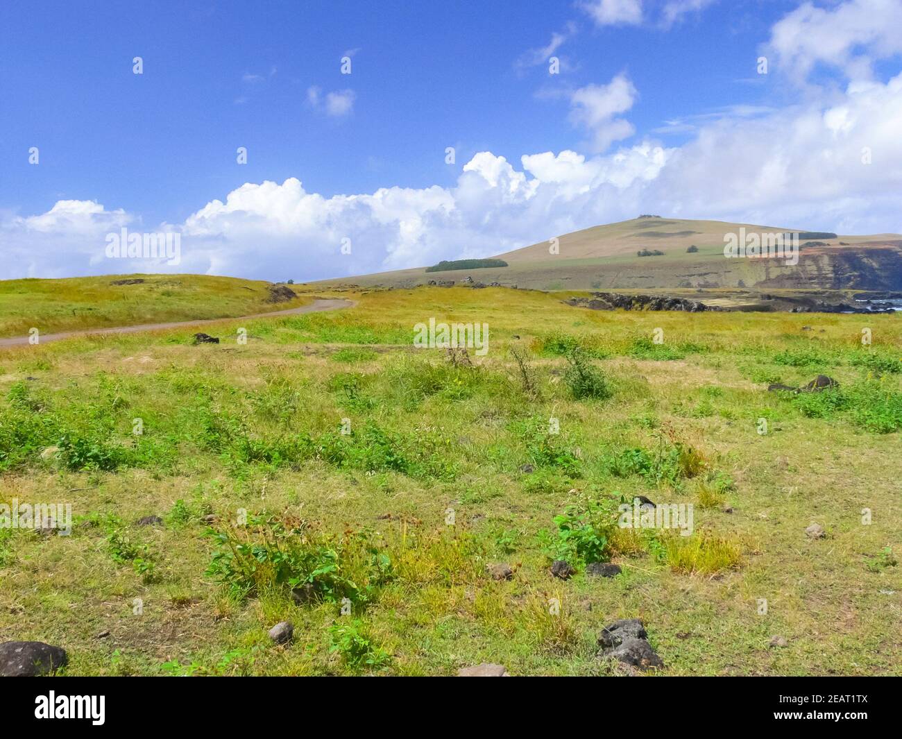 nature of Easter Island, landscape, vegetation and coast Stock Photo ...