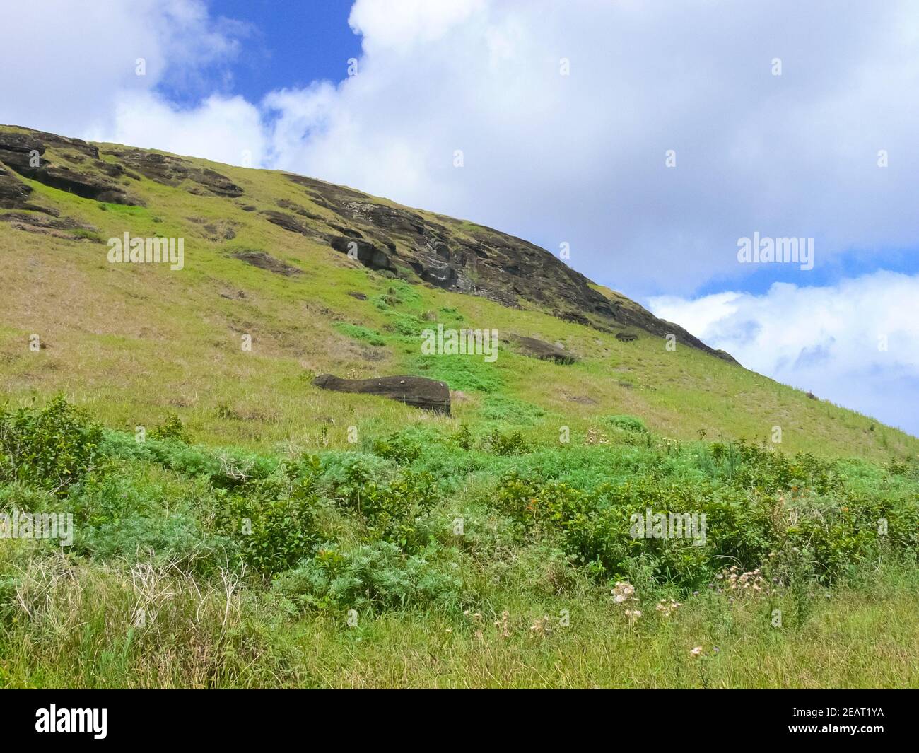 Nature Of Easter Island Landscape Vegetation And Coast Stock Photo nature-of-easter-island-landscape-vegetation-and-coast-stock-photo