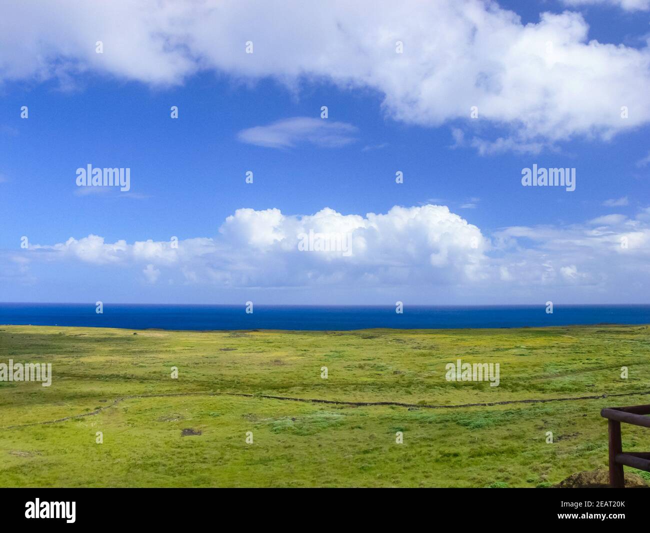 nature of Easter Island, landscape, vegetation and coast Stock Photo ...