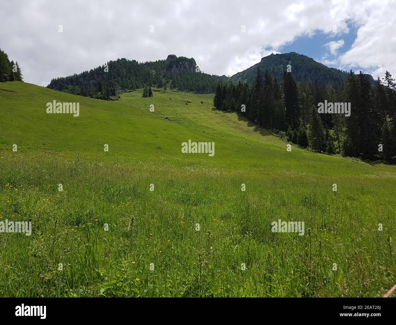 Hausberg mountain hi-res stock photography and images - Alamy