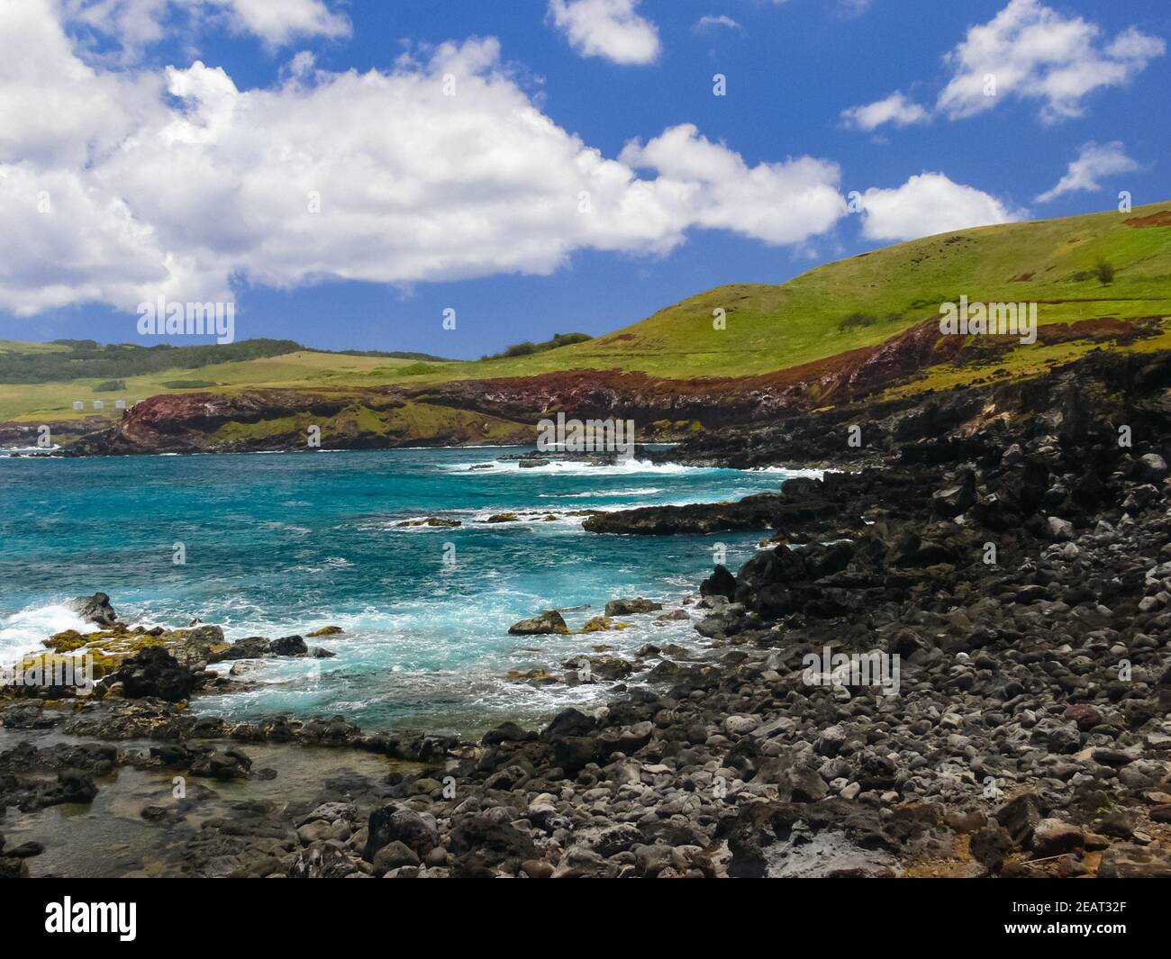 nature of Easter Island, landscape, vegetation and coast Stock Photo ...