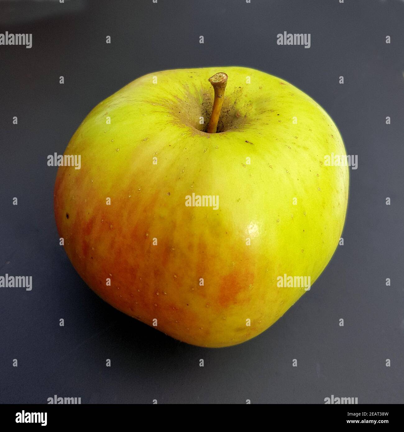 Kaiser Wilhelm, Apfel, Malus, domestica, Alte Apfelsorte Stock Photo ...