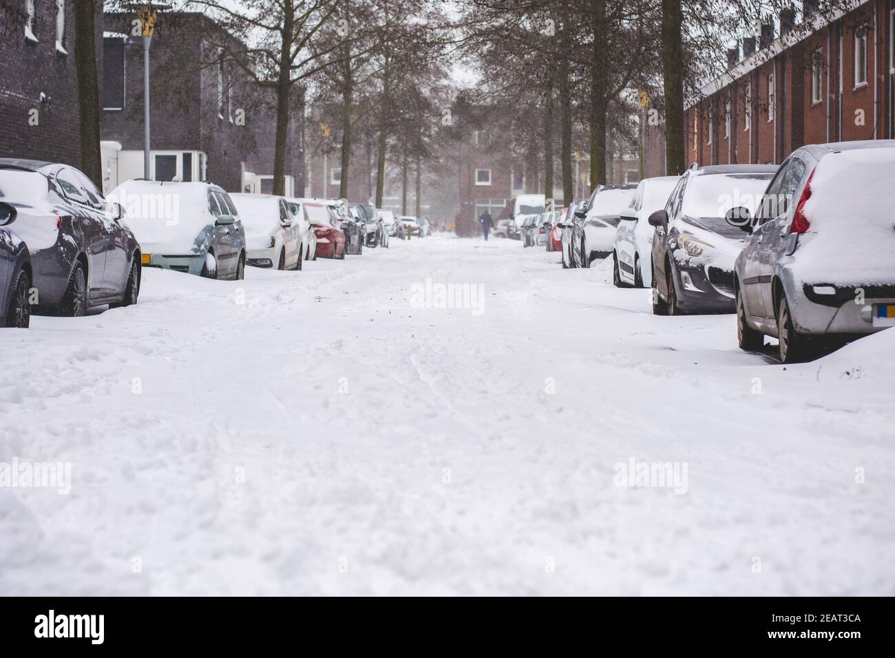 Parked cars covered with snow in the street in a neighbourhood ...