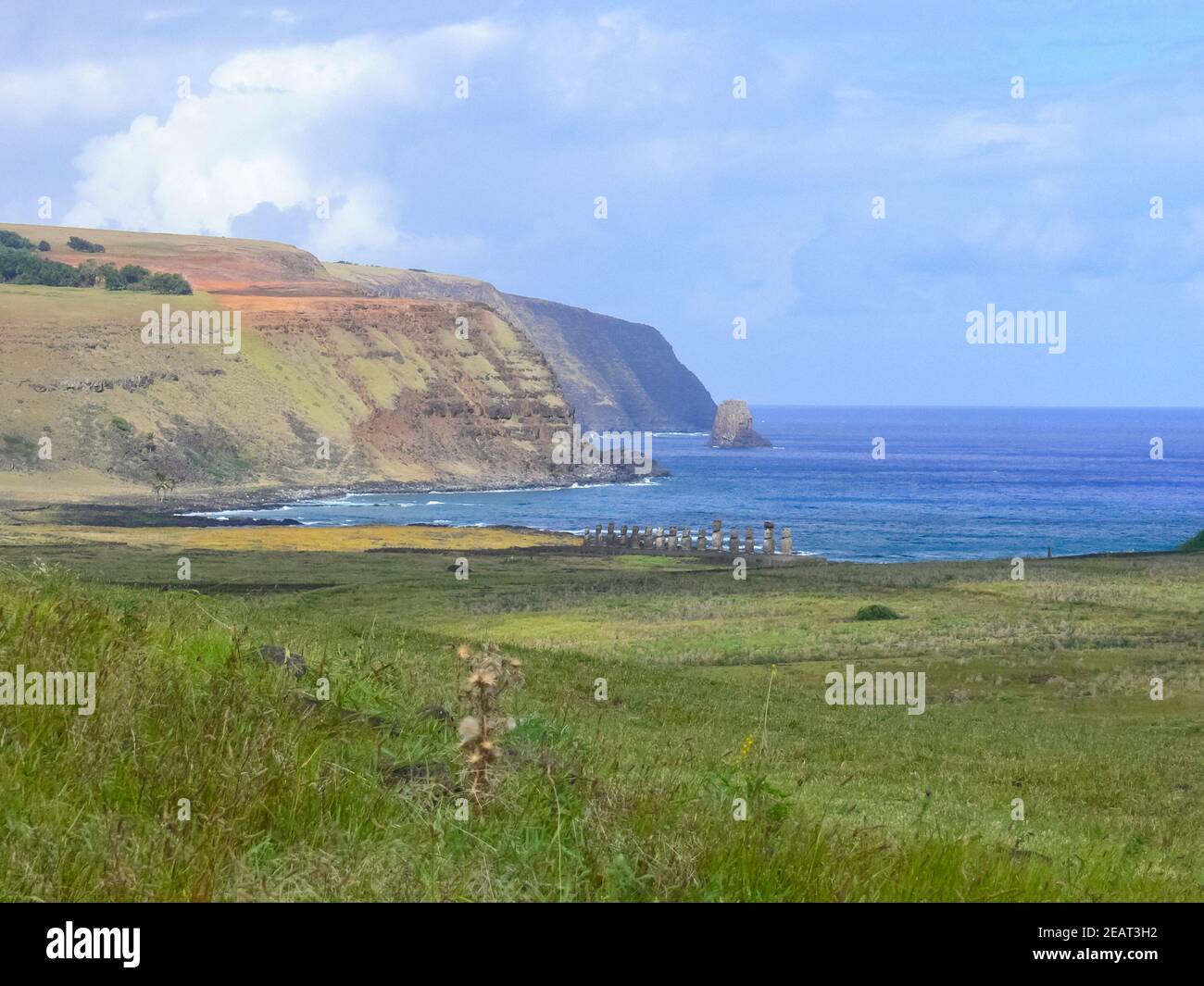 nature of Easter Island, landscape, vegetation and coast Stock Photo ...