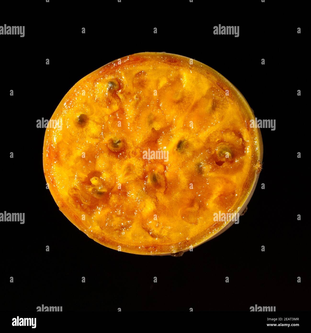 Kaktusfeigen hi-res stock photography and images - Alamy