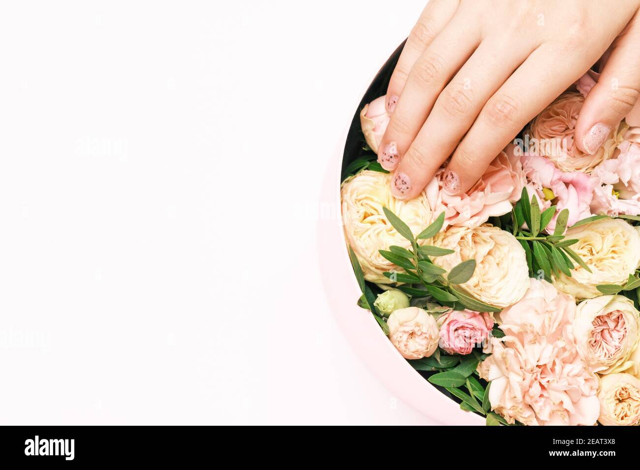 Woman holding pink box hi-res stock photography and images - Alamy