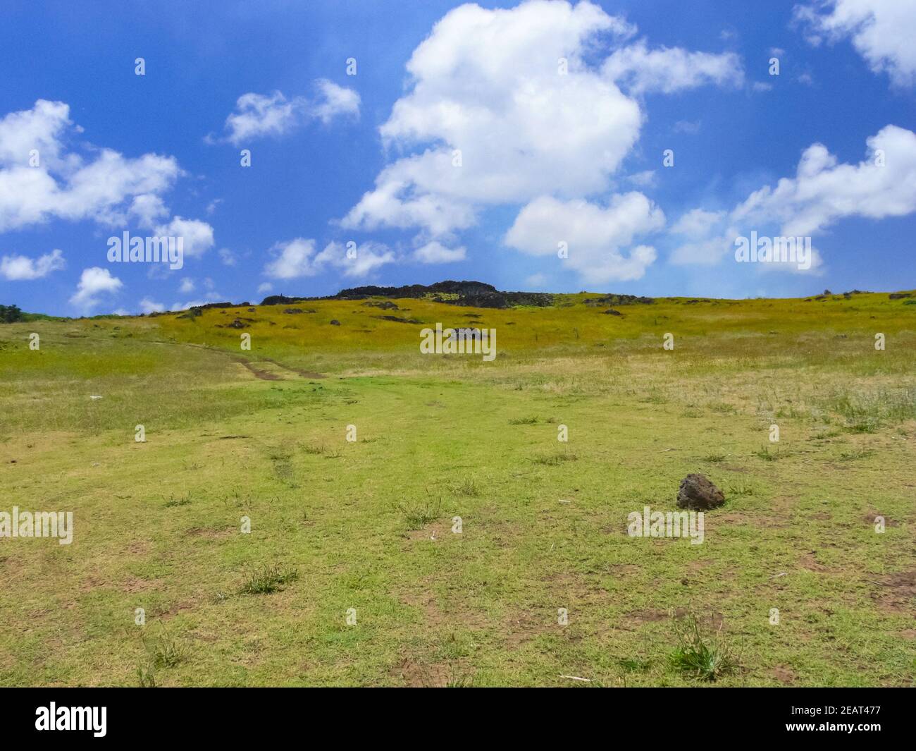 nature of Easter Island, landscape, vegetation and coast Stock Photo ...