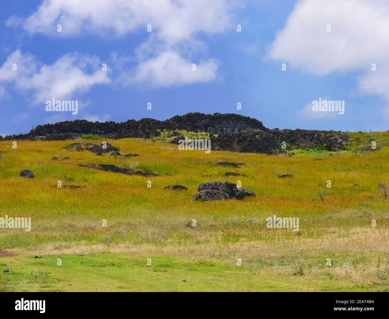 nature of Easter Island, landscape, vegetation and coast Stock Photo ...