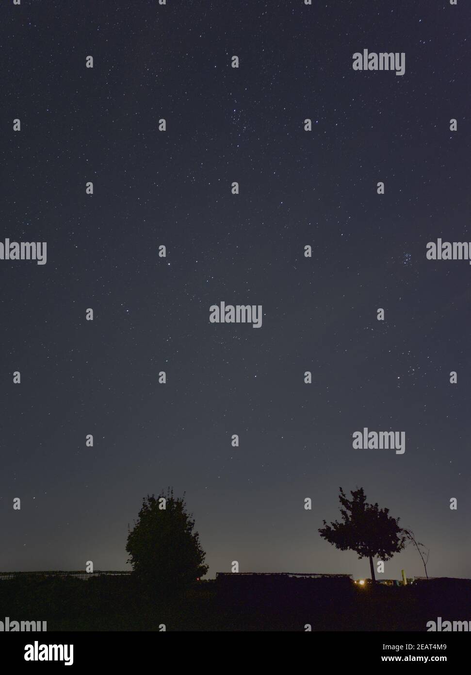 Beautiful view of the stars shining in the night sky - great for ...