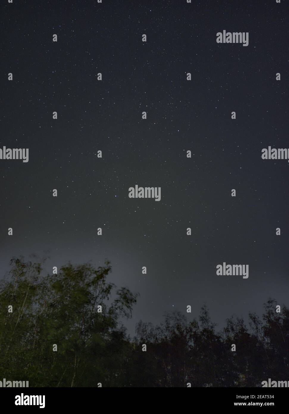 Beautiful view of the stars shining in the night sky - great for ...