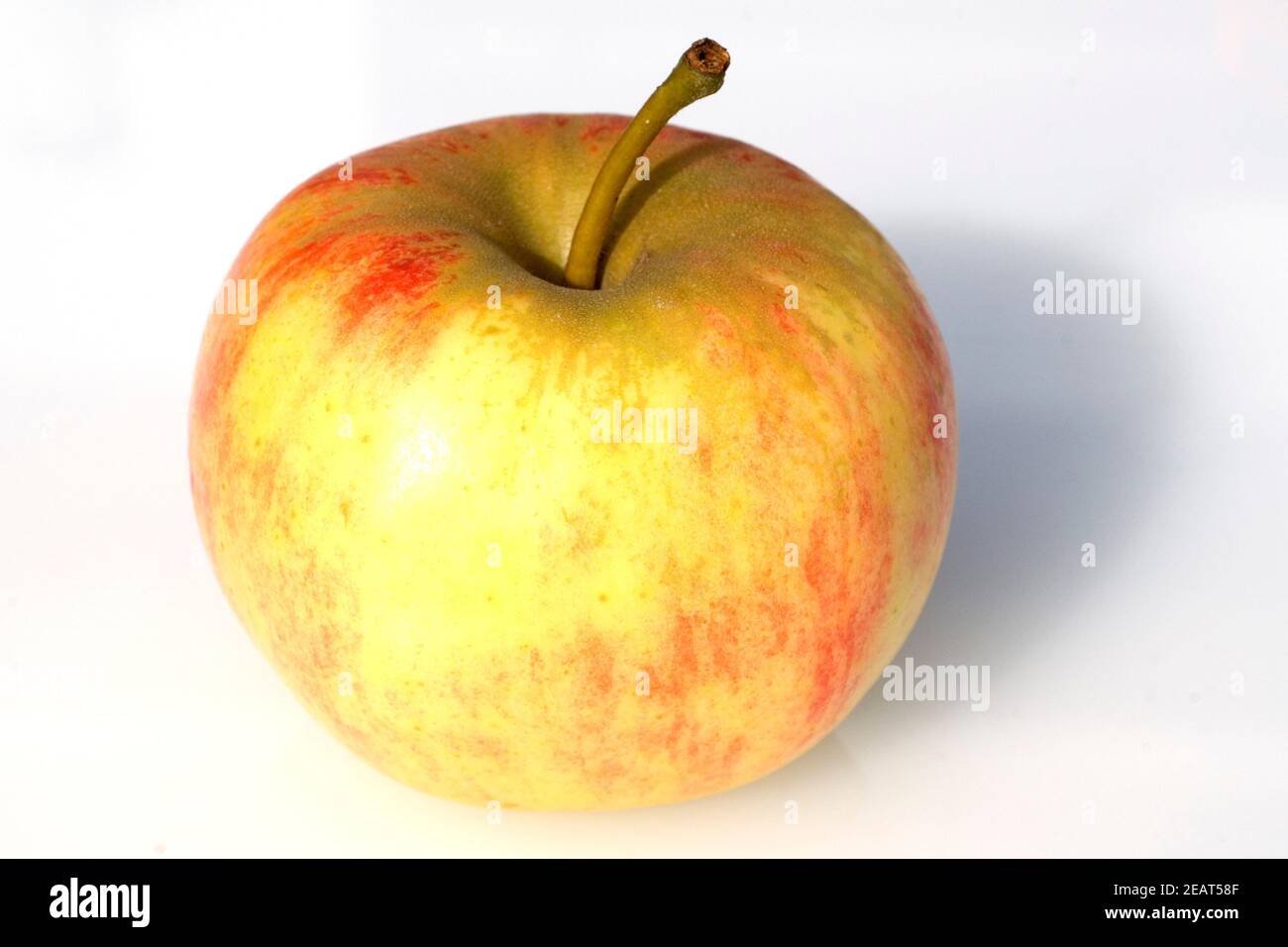 Elstar Apfel Stock Photo - Alamy