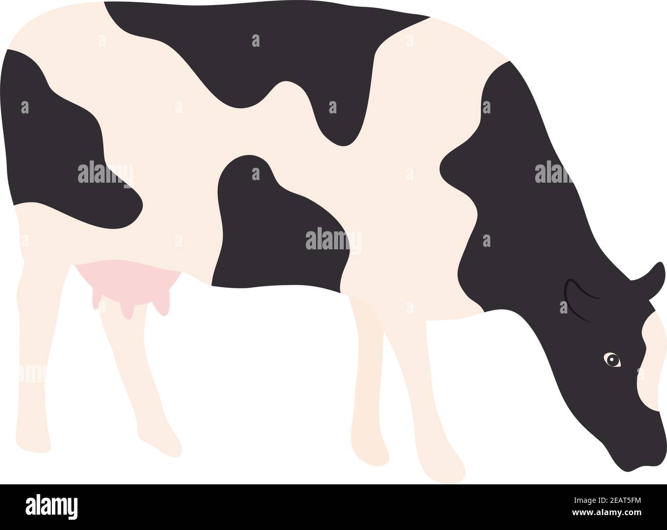 cow animal icon over white background, colorful design, vector ...