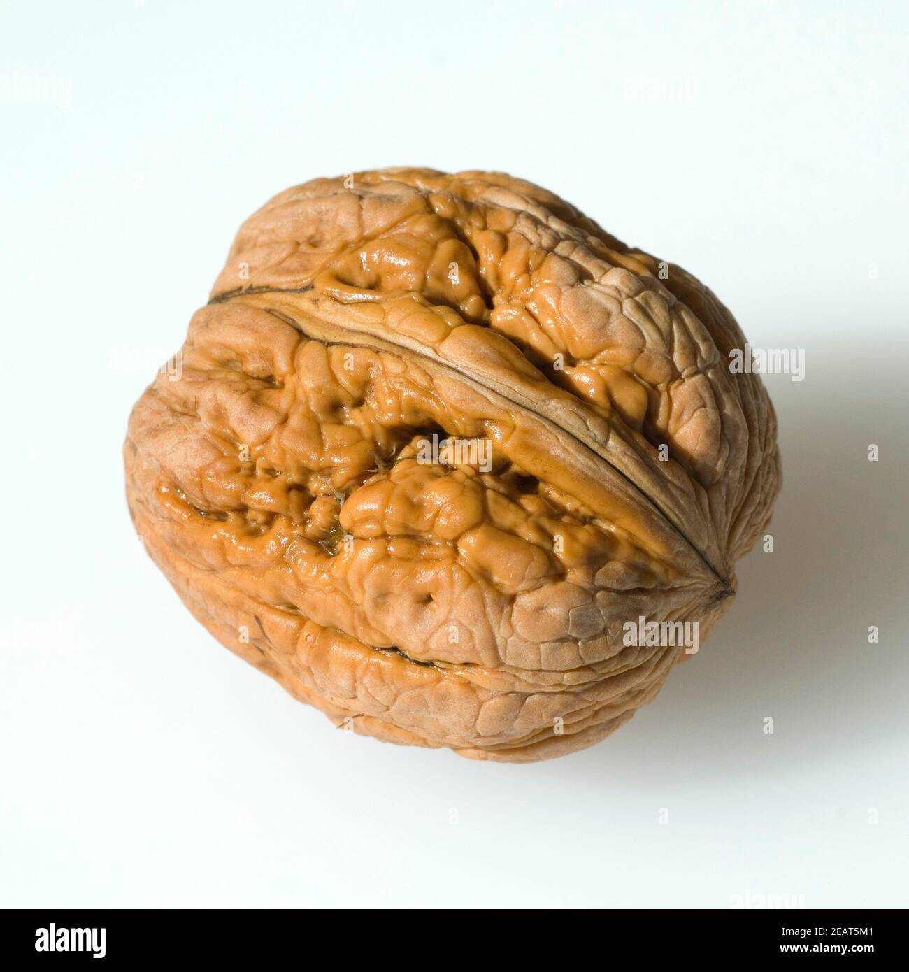 Walnuss hi-res stock photography and images - Alamy