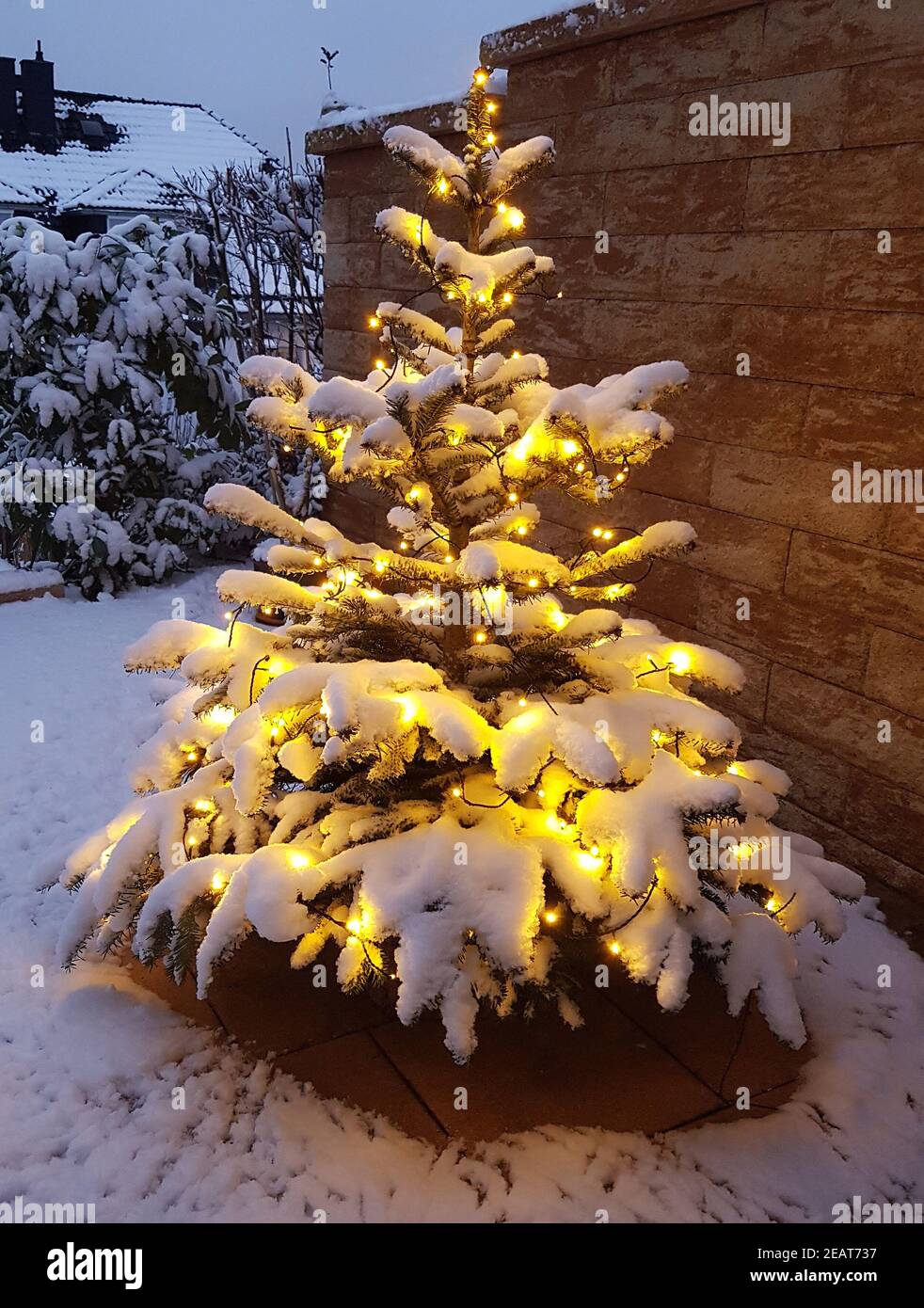 Christbaum im freien hi-res stock photography and images - Alamy