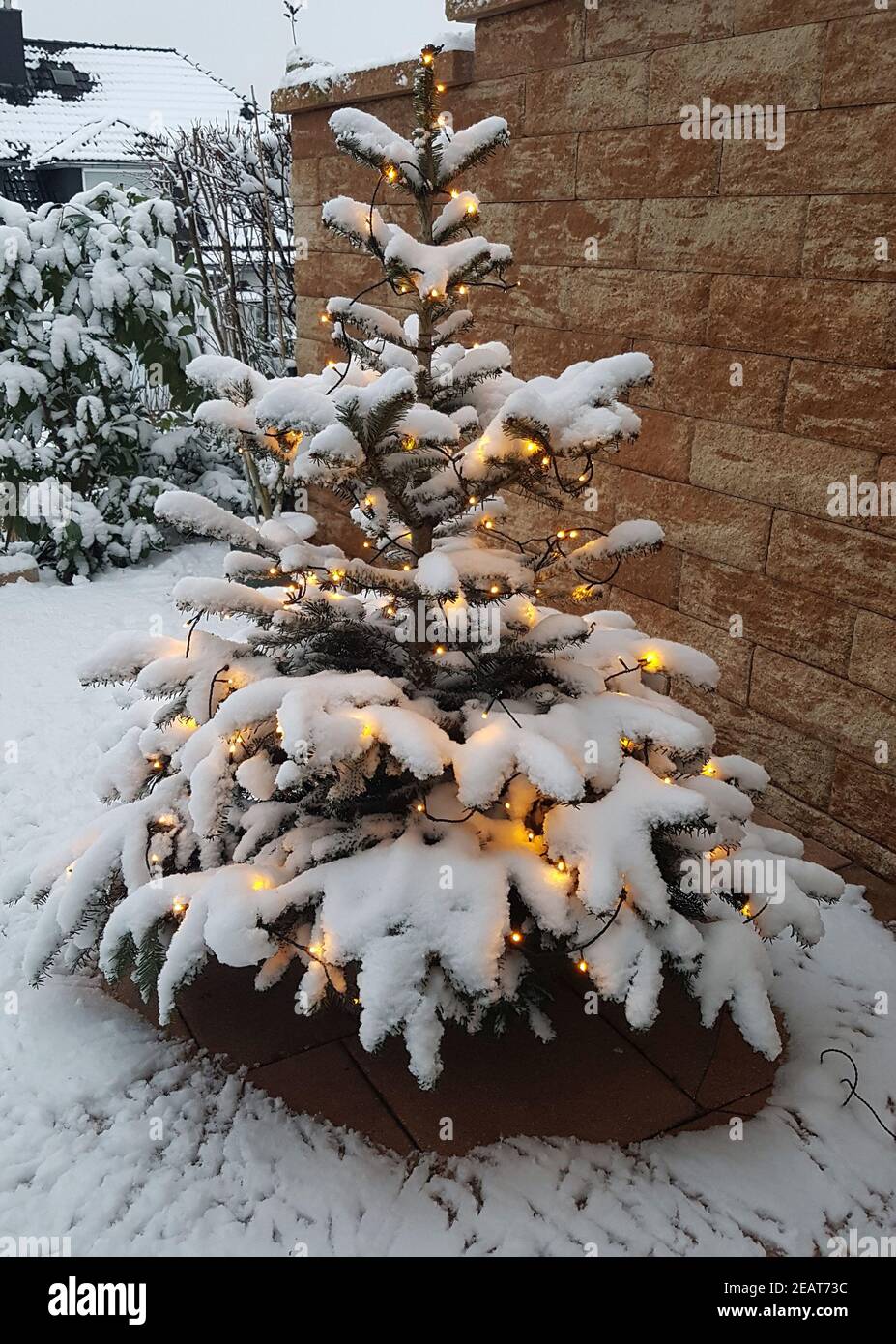 Christbaum im freien hi-res stock photography and images - Alamy
