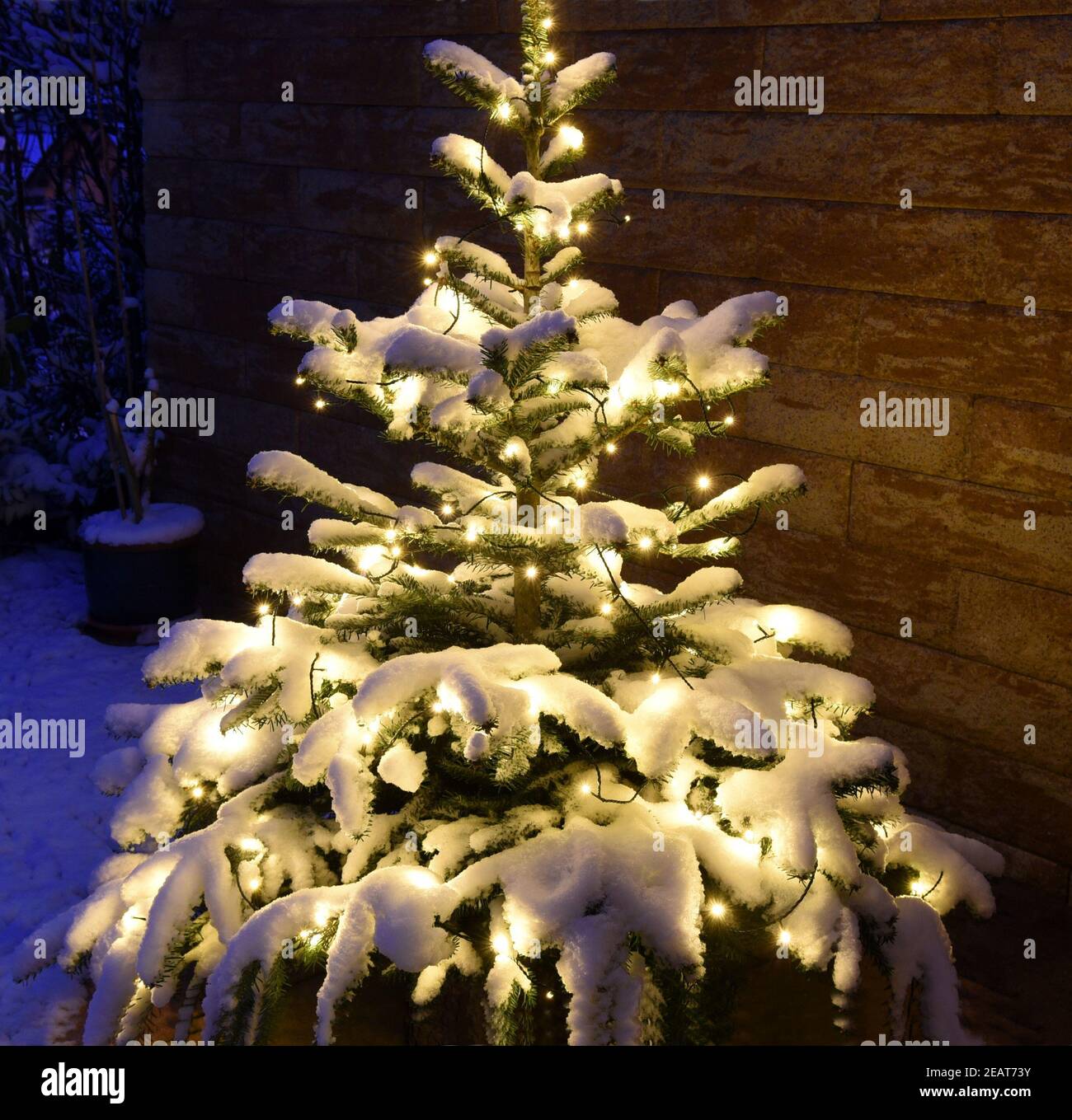 Christbaum hi-res stock photography and images - Alamy