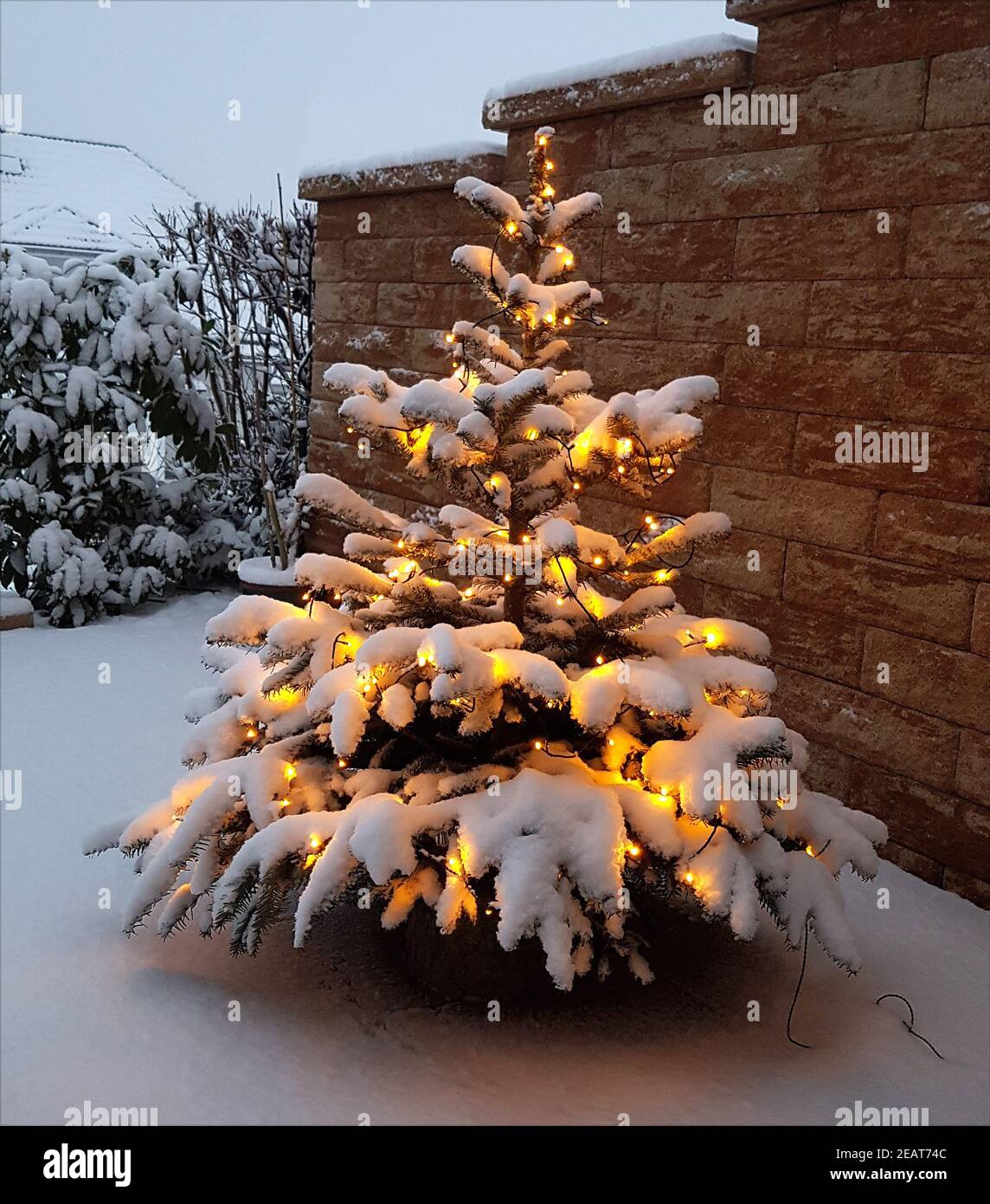 Tannenbaum hi-res stock photography and images - Alamy