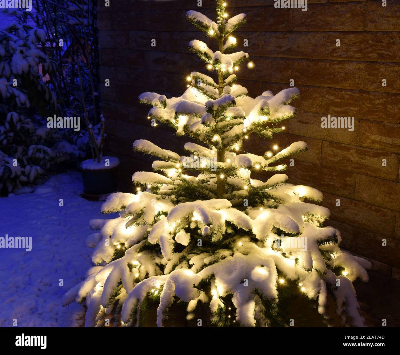Weihnachtsbaum & Winterhütte
