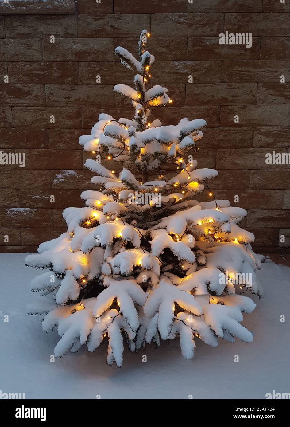 Christbaum im freien hi-res stock photography and images - Alamy