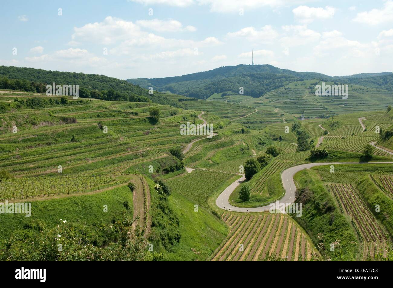 Weinberg terrassen hi-res stock photography and images - Alamy