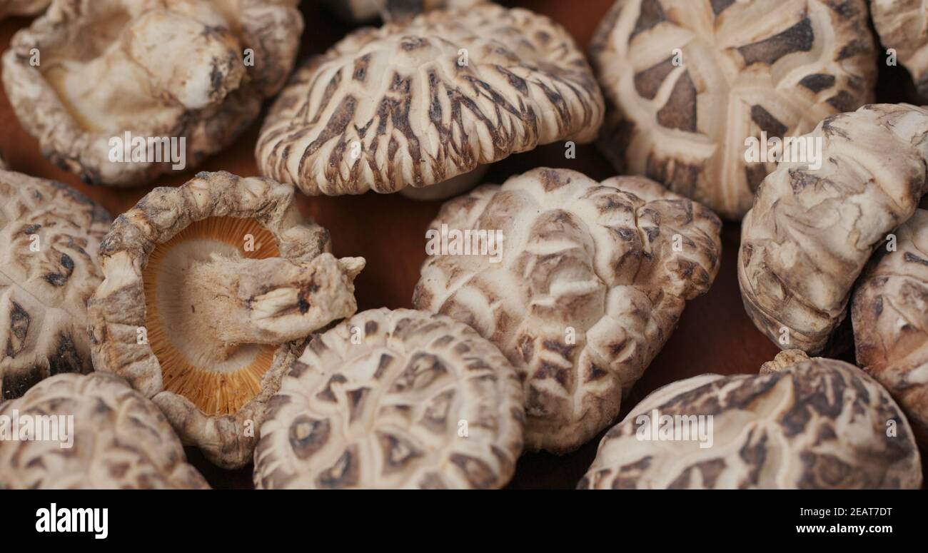 Stack of japanese mushroom in rotation Stock Photo - Alamy