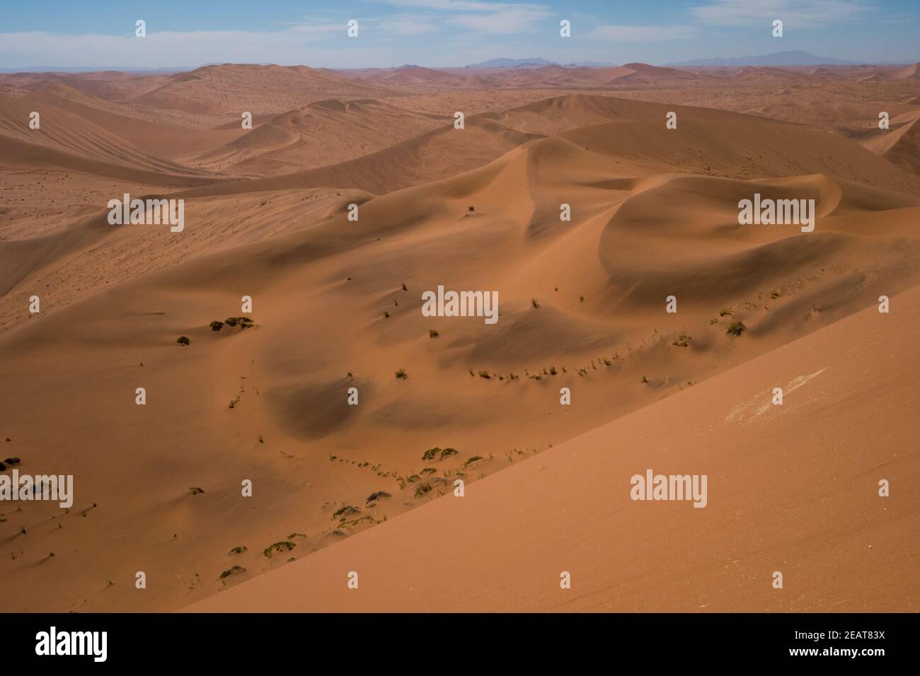 Namibian desert landscape with dramatic warm light Stock Photo - Alamy