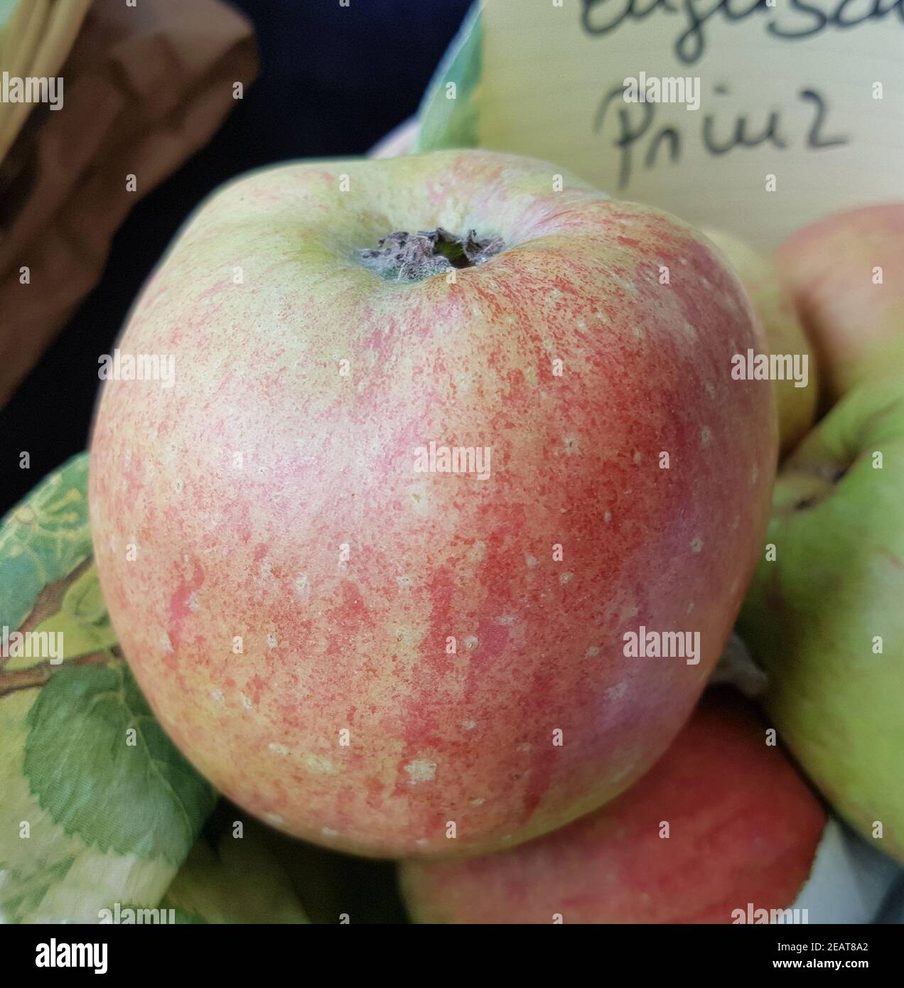 Old english medicinal plants hi-res stock photography and images - Alamy