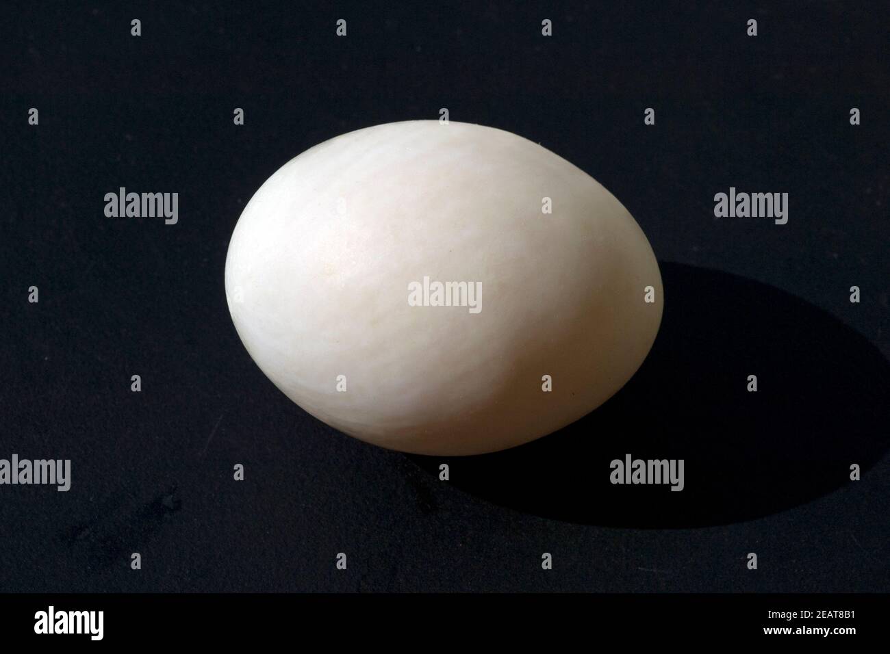 Entenei, Ei Enteneier Stock Photo - Alamy