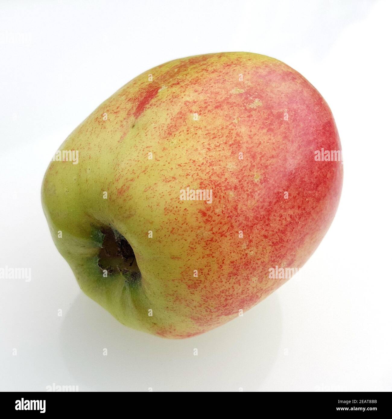 Old english medicinal plants hi-res stock photography and images - Alamy