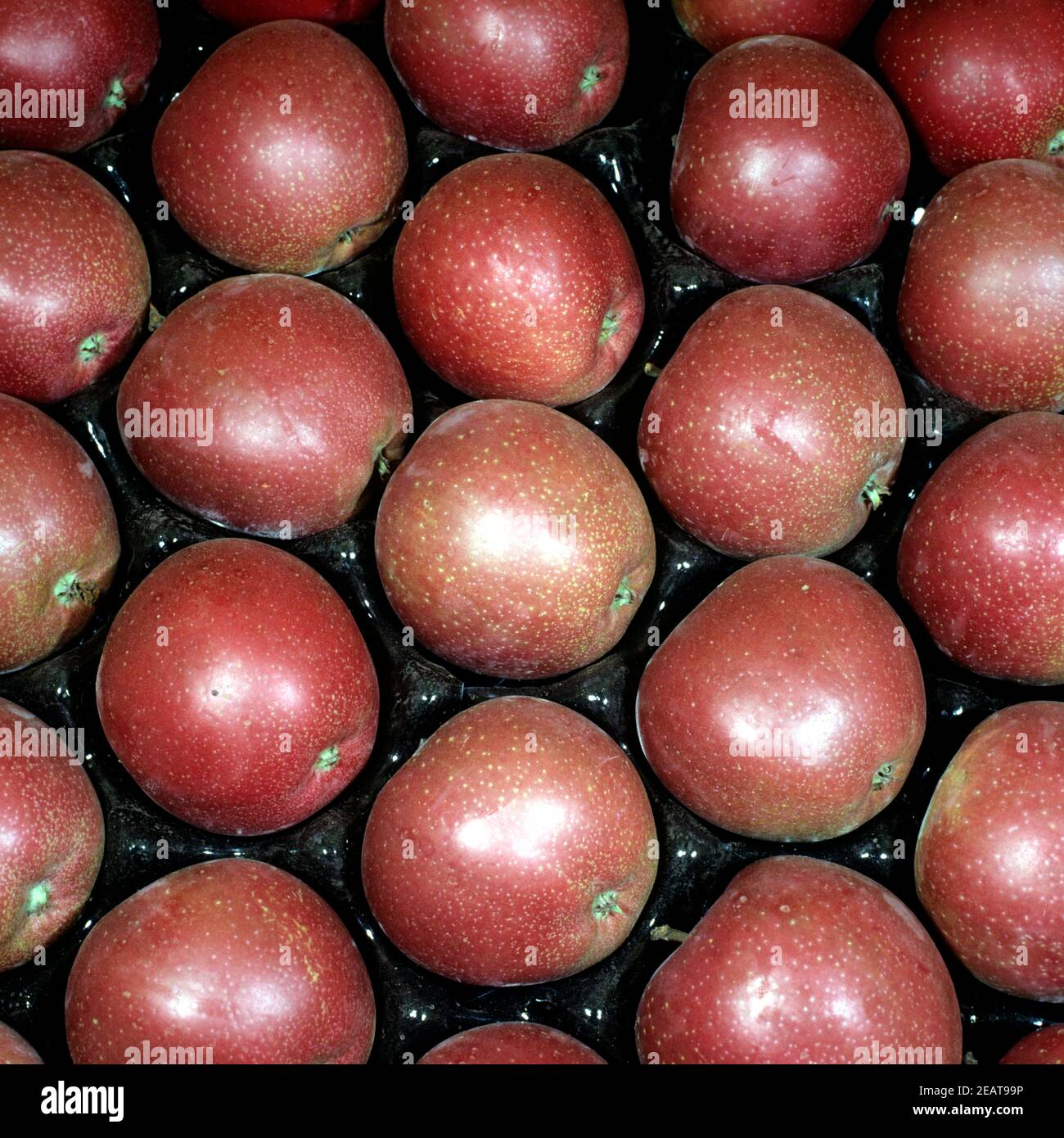 Apfelbaum rot hi-res stock photography and images - Alamy