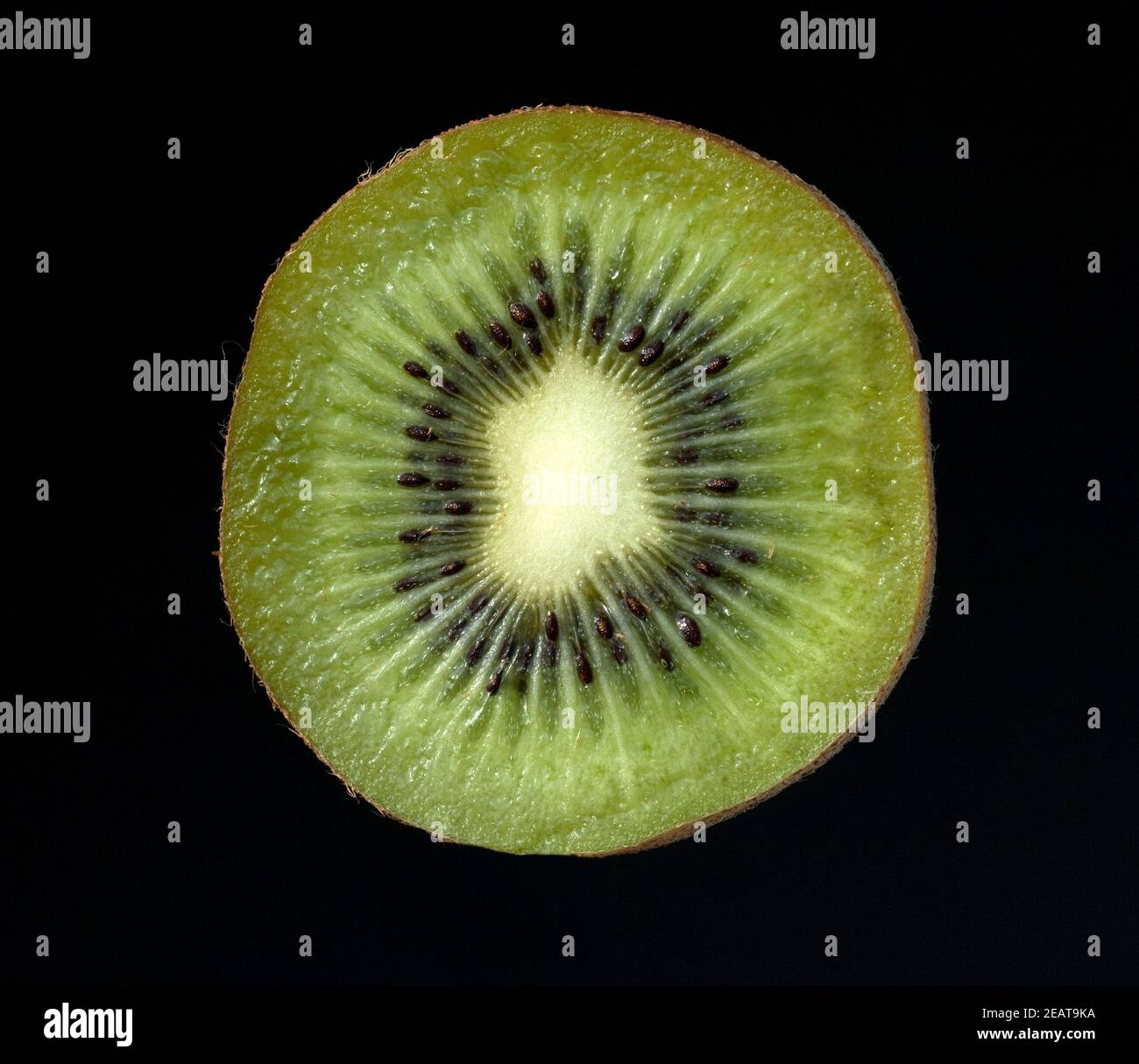 Kiwi, Actinidia, deliciosa Stock Photo - Alamy