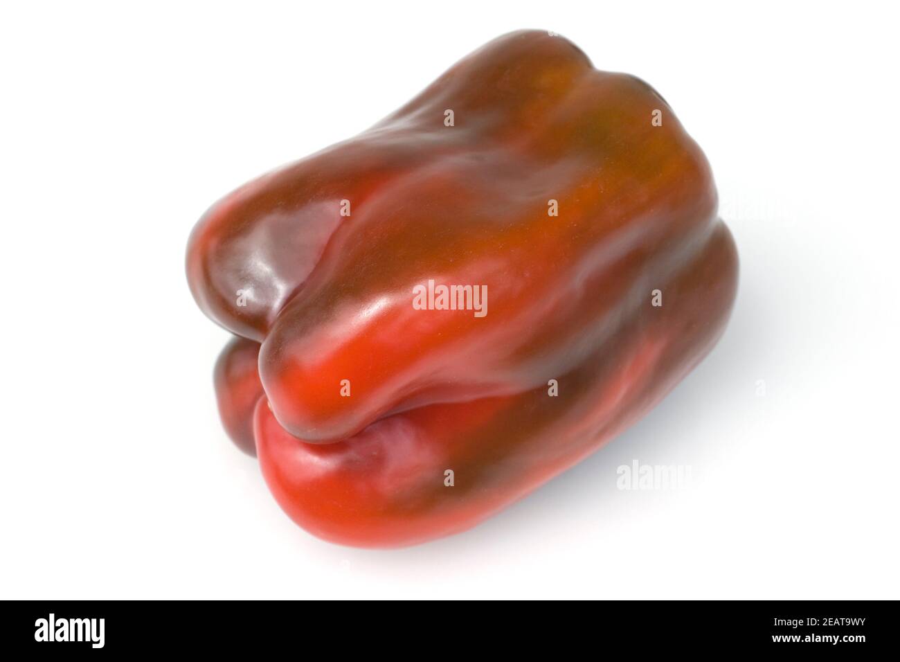 Paprika Capsicum annuum Stock Photo - Alamy