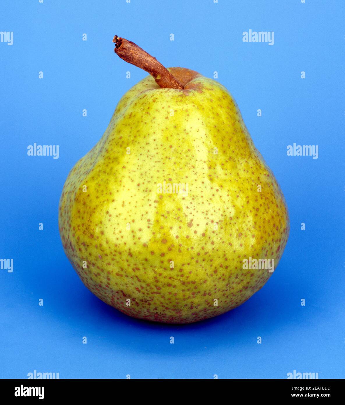 Williams christ birnen hi-res stock photography and images - Alamy